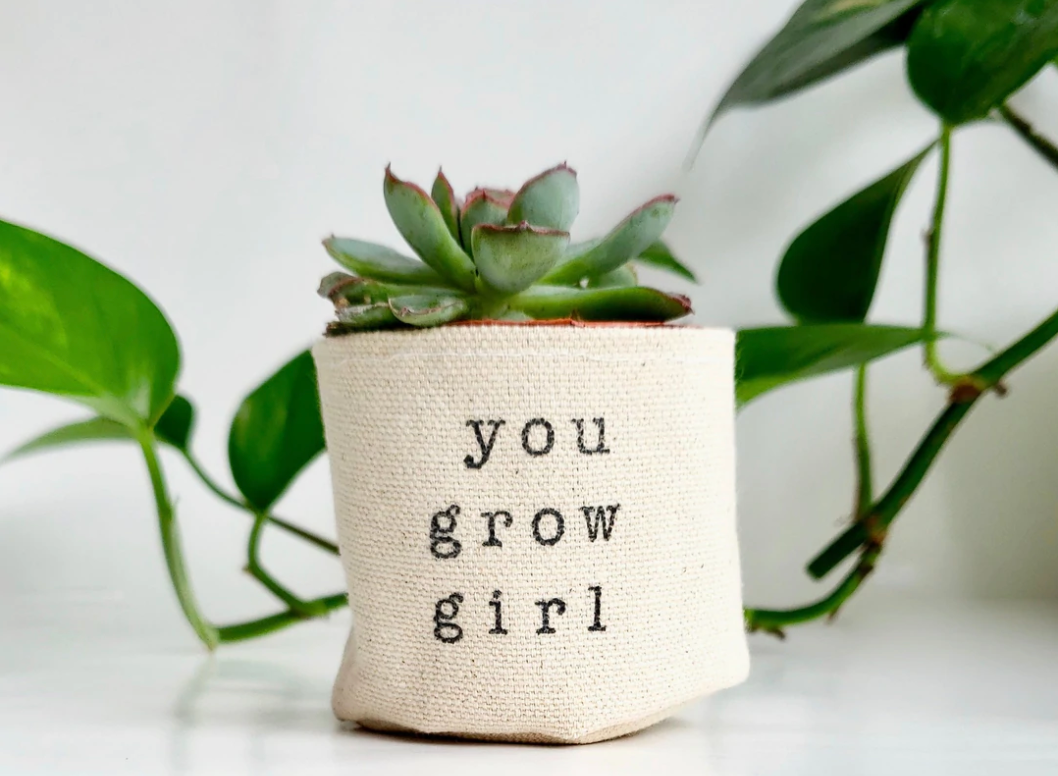 Cute & Saucy! Stylish planters with catchy sayings | Leaf and Root Co ...